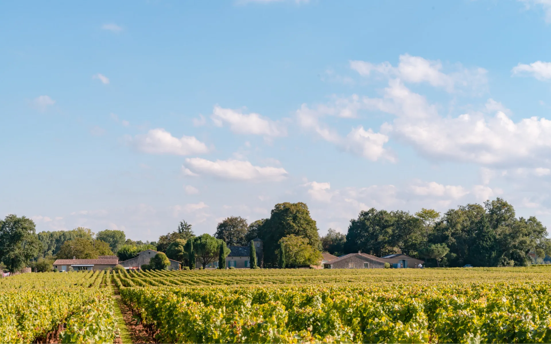 Château Doisy Védrines - Haut-Barsac / Sauternes - Doisy Védrines